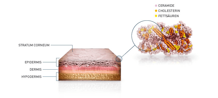 Hautpflege für trockene Haut am Körper ǀ Hautpflege-Tipps | CeraVe